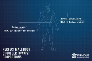 A Scientifically Proven Way To Build The Perfect Male Body - FitMole
